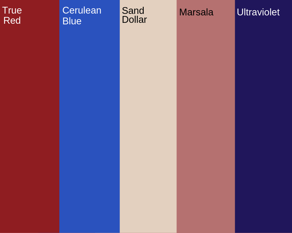 All There Is To Know About The Color Of The Year | Vue.ai Blog